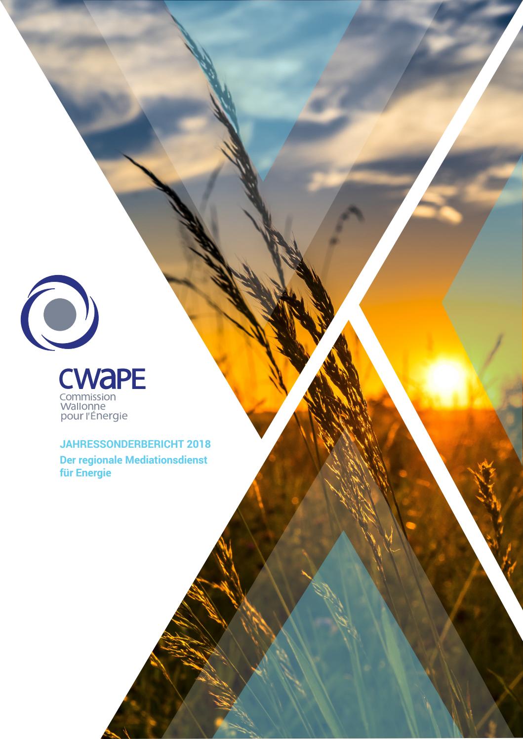 RAS SRME 2018-version DE by CWaPE - Issuu