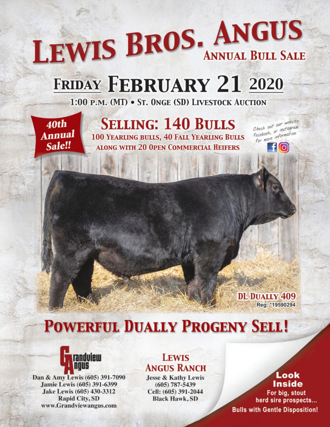 Lewis Bros 2020 Catalog by RPI Promotions - Issuu