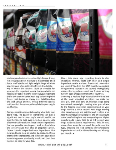Lowcountry Dog Magazine- February 2020 by Lowcountry Dog Magazine - Issuu