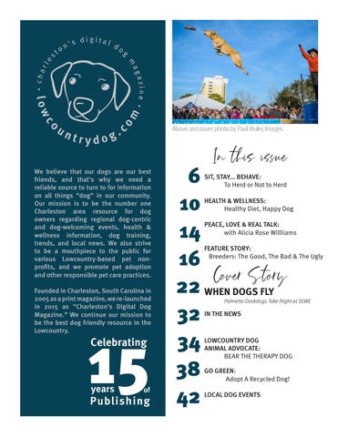 Lowcountry Dog Magazine- February 2020 by Lowcountry Dog Magazine - Issuu