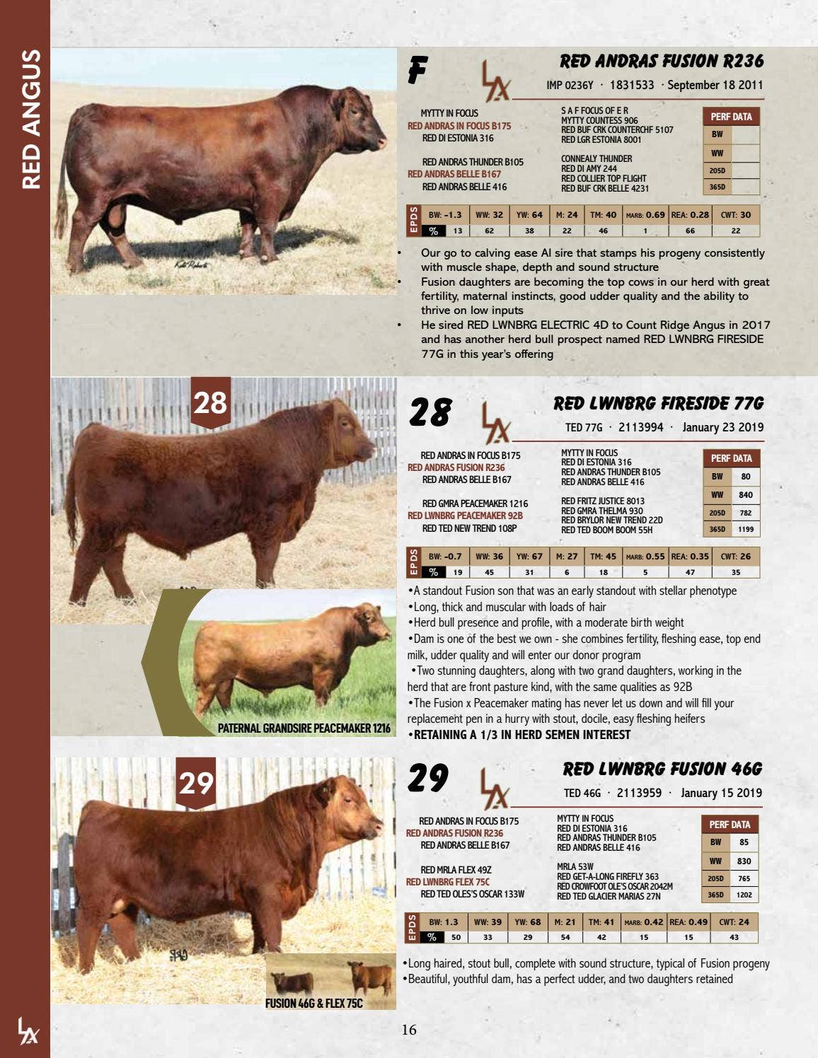 2020 Leeuwenburgh Angus 29th Annual Bull Sale by DLMS-Cattlevids.ca - Issuu