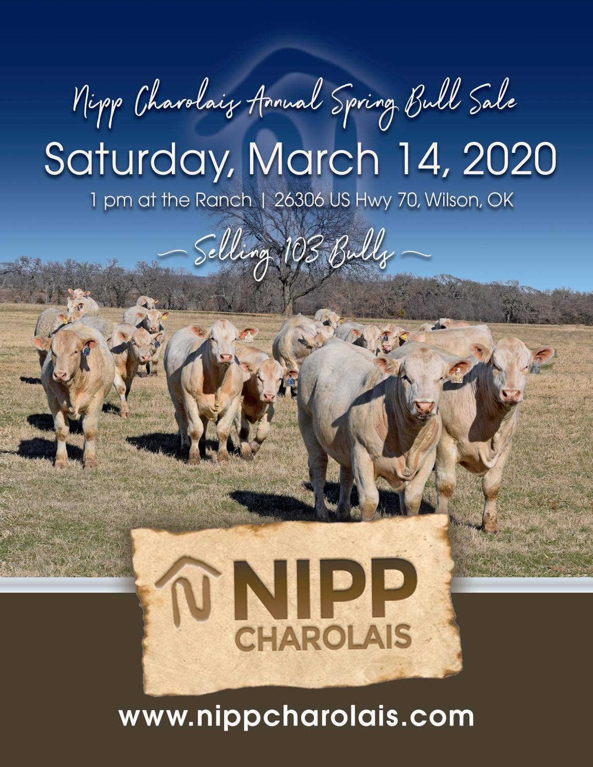Nipp Charolais - 2020 Spring Sale Catalog by LivestockDirect - Issuu