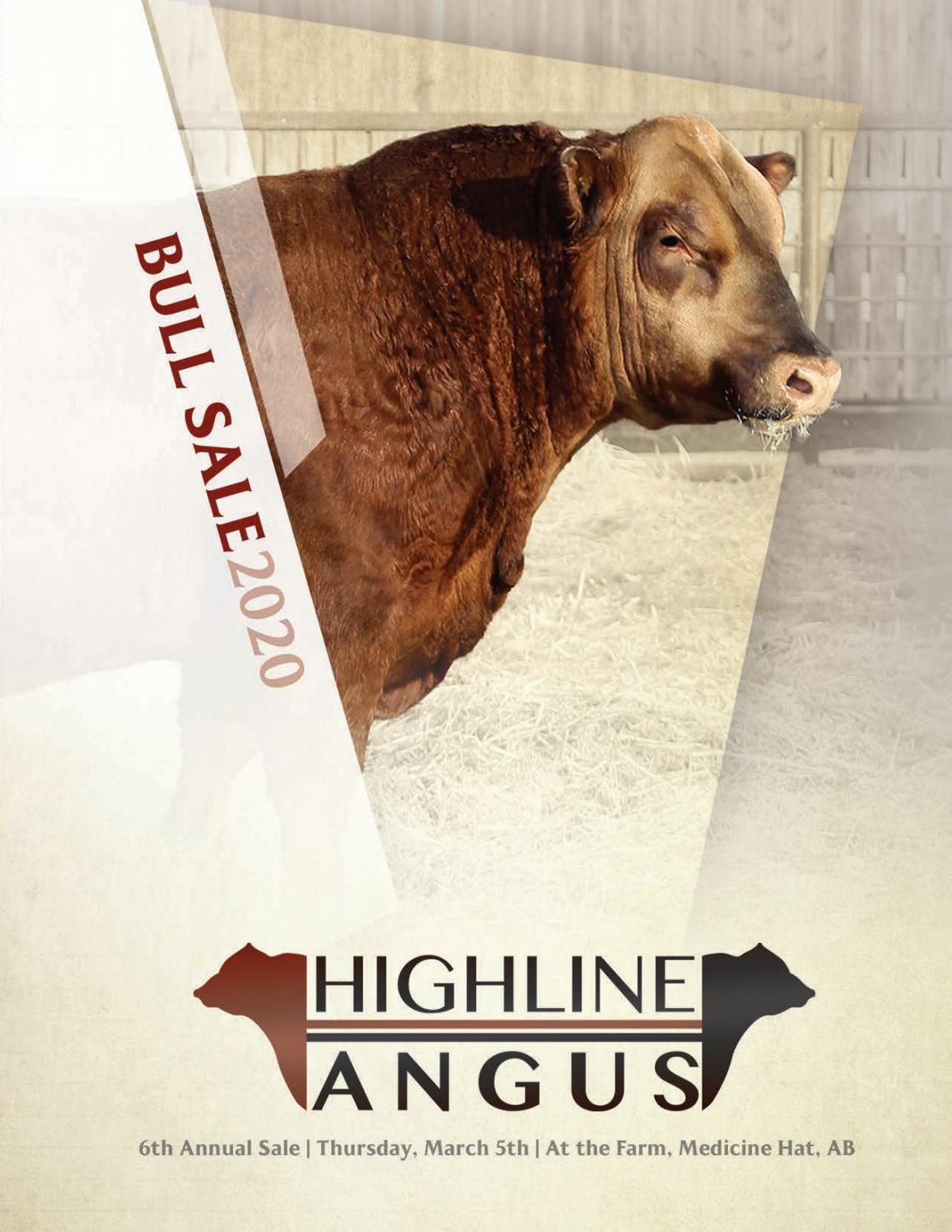 Highline Angus by Castlerock Marketing - Issuu
