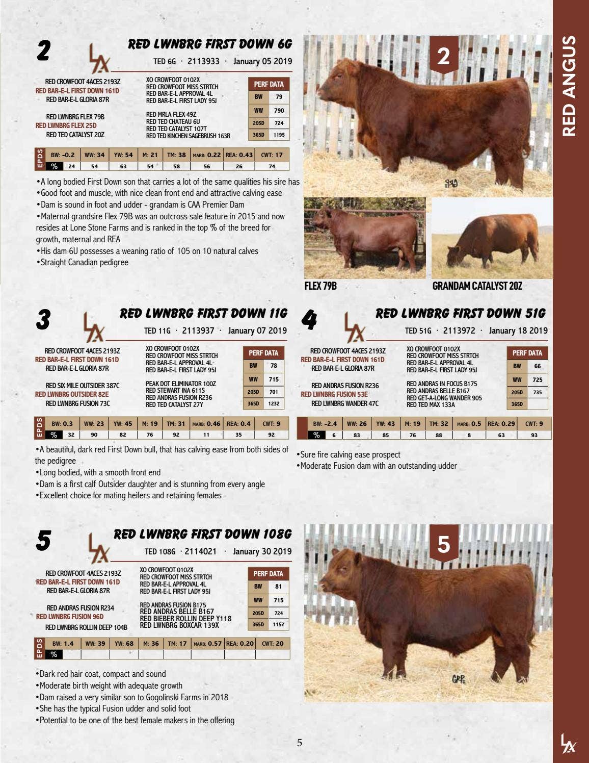 Leeuwenburgh Angus 29th Annual Bull Sale: Tuesday March 10, 2020 by ...