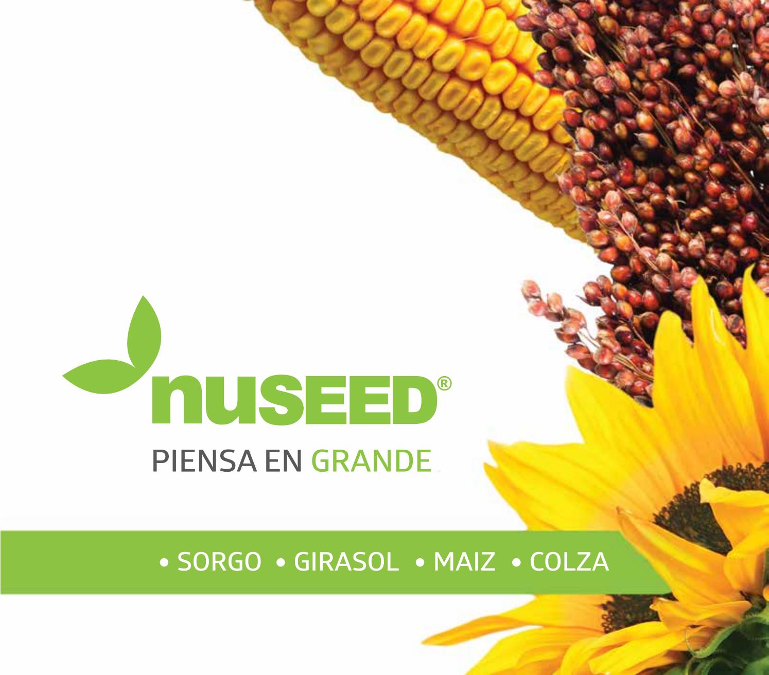 Catalogo Nuseed 2020 - Beta03 by Enrique A. Cognigni - Issuu