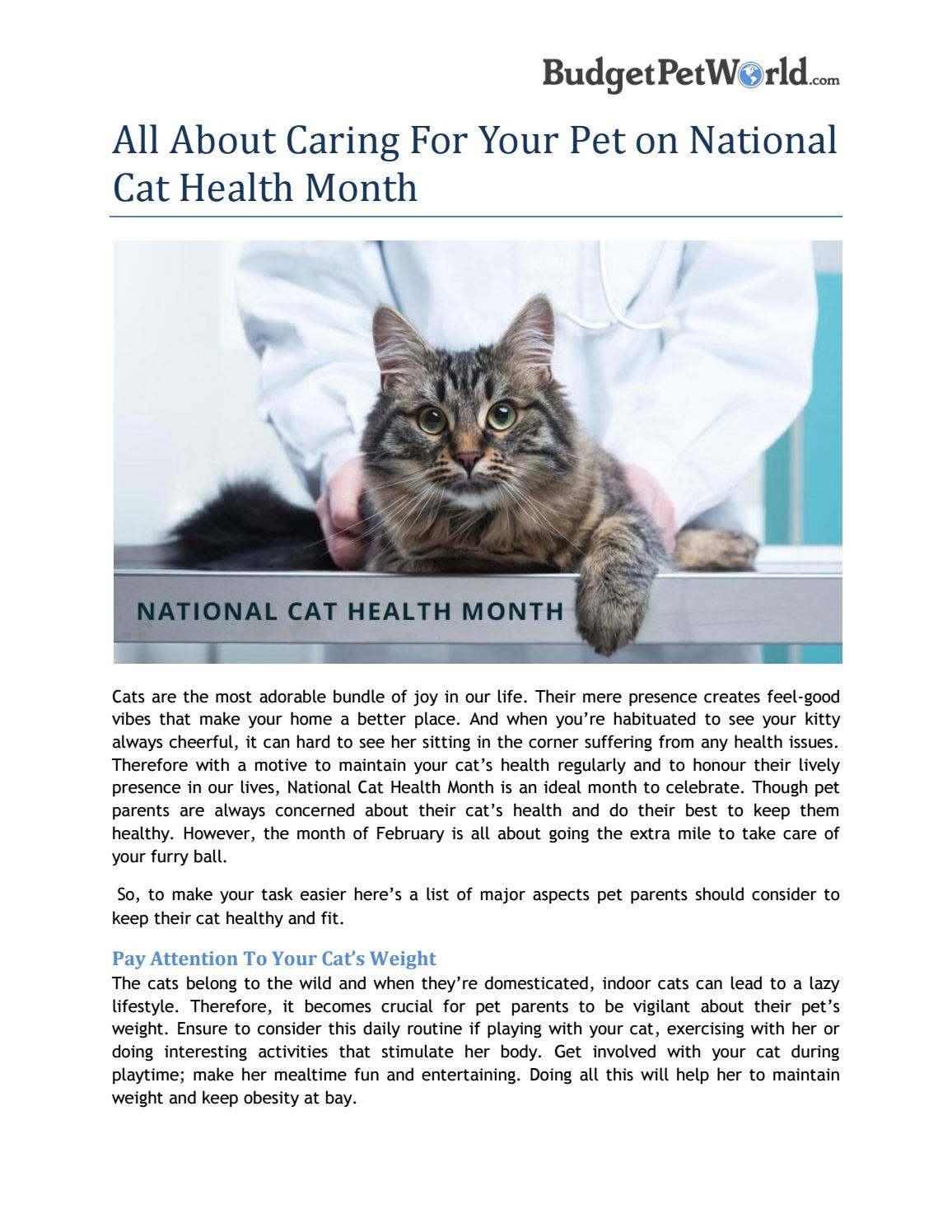 All About Caring For Your Pet on National Cat Health Month by ...