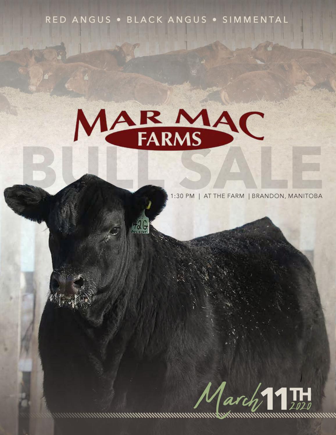 THE 16TH ANNUAL MAR MAC BULL SALE by Canadian Angus Association - Issuu