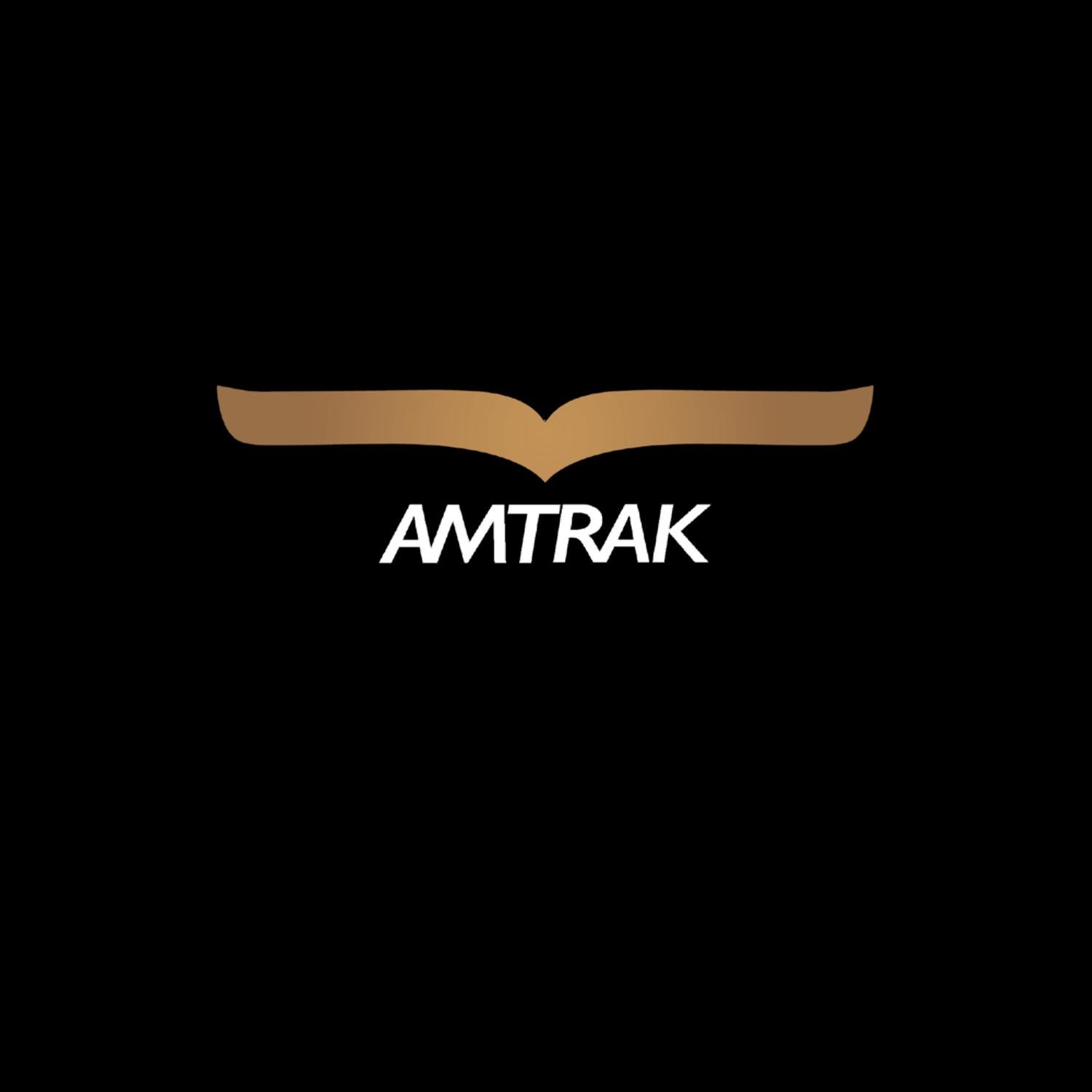Amtrak: Brand Guidelines by Roger Muller - Issuu