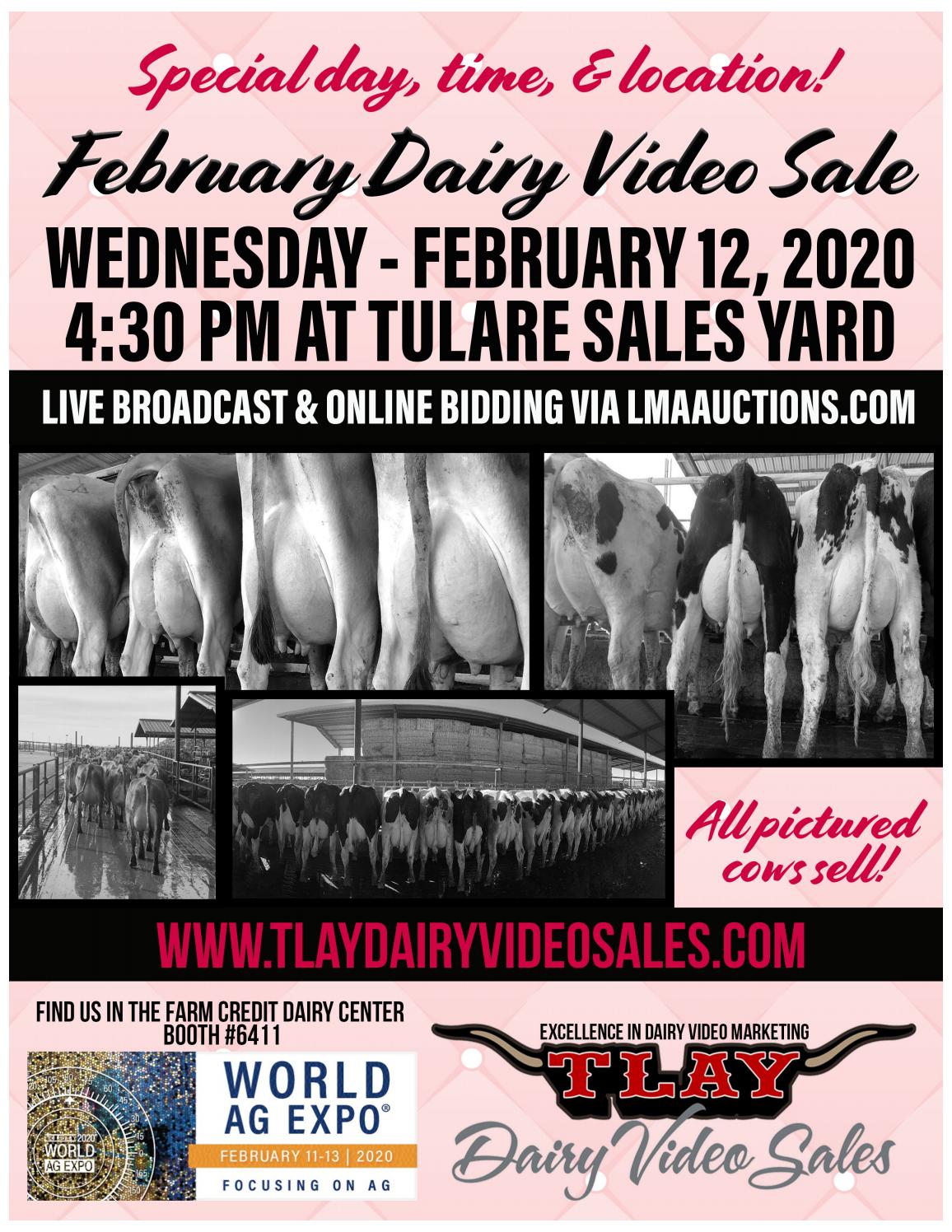 FEBRUARY 2020 TLAY DAIRY VIDEO SALE by TURLOCK LIVESTOCK AUCTION YARD ...
