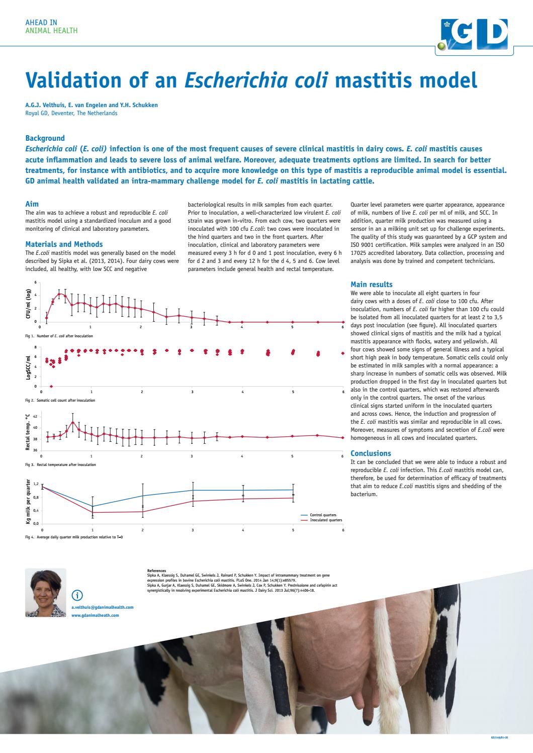 Validation of an Escherichia coli mastitis model by Royal GD - Issuu