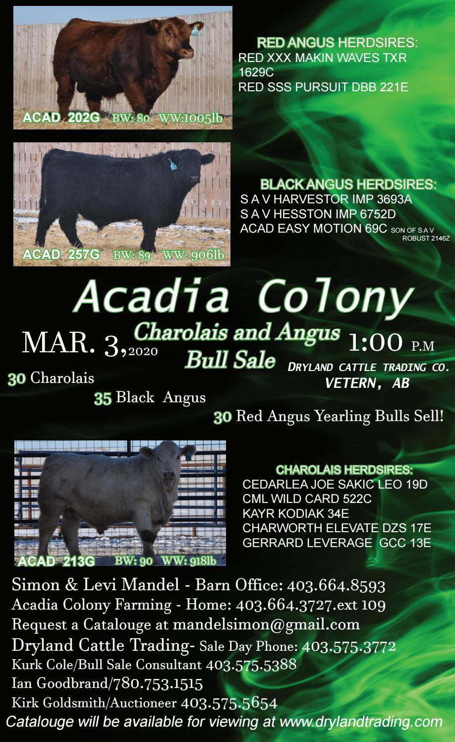 Acadia Colony Charolais & Angus Bull Sale 2020 by Circle Cee Charolais ...