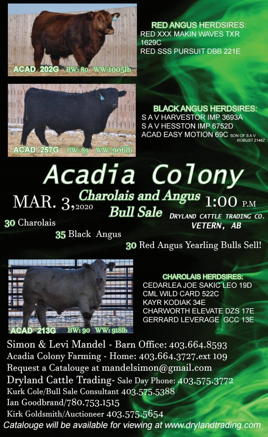 Acadia Colony Charolais & Angus Bull Sale 2020 by Circle Cee Charolais ...