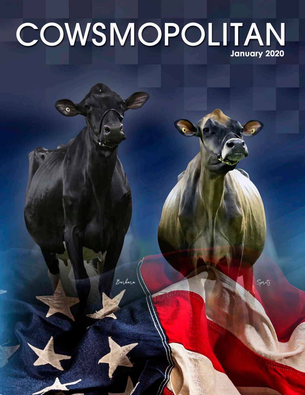 January 2020 Issue by Cowsmopolitan - Issuu