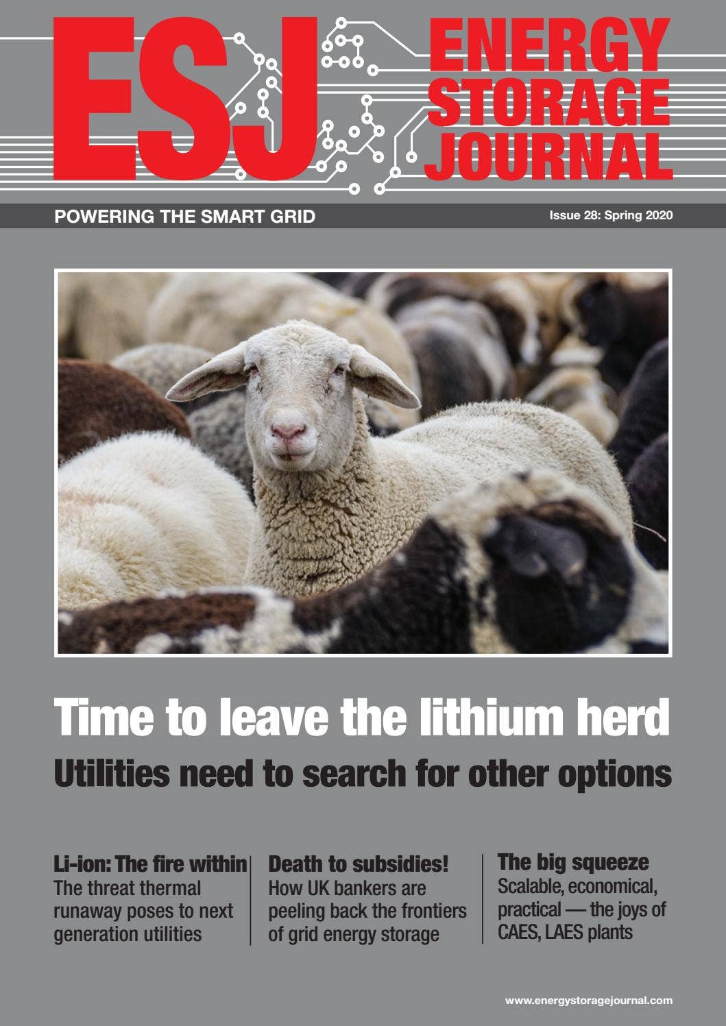 Energy Storage Journal, Issue 28 — Spring 2020 by hamptonhalls - Issuu