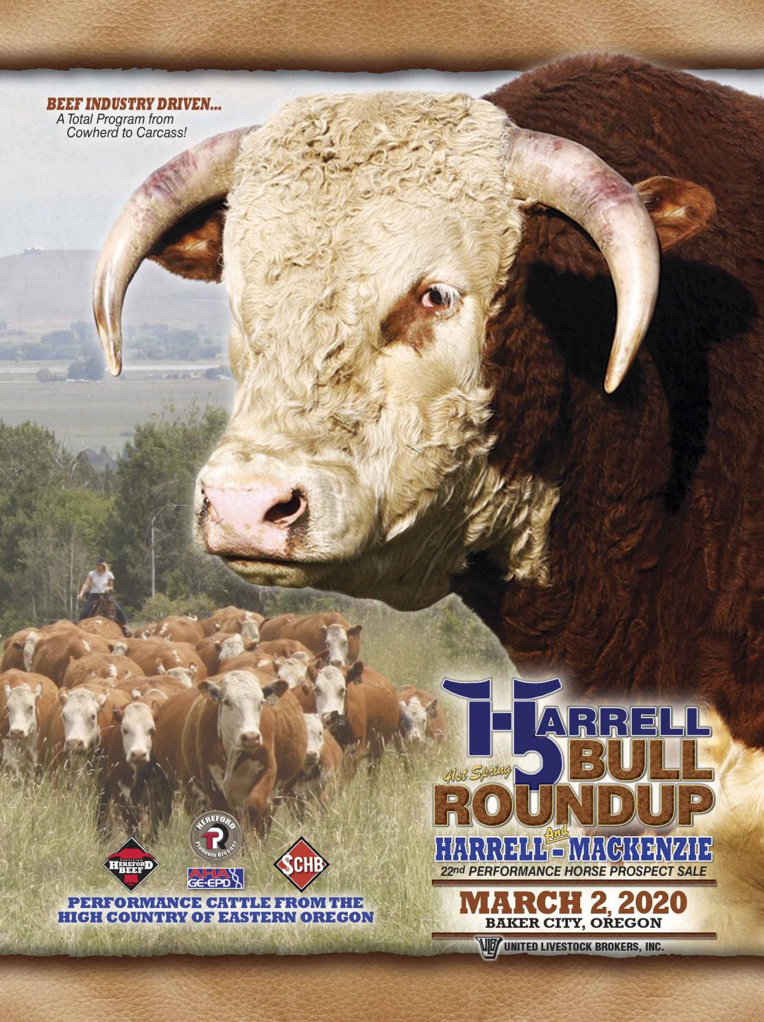 Harrell Hereford Ranch Bull Roundup by American Hereford Association ...