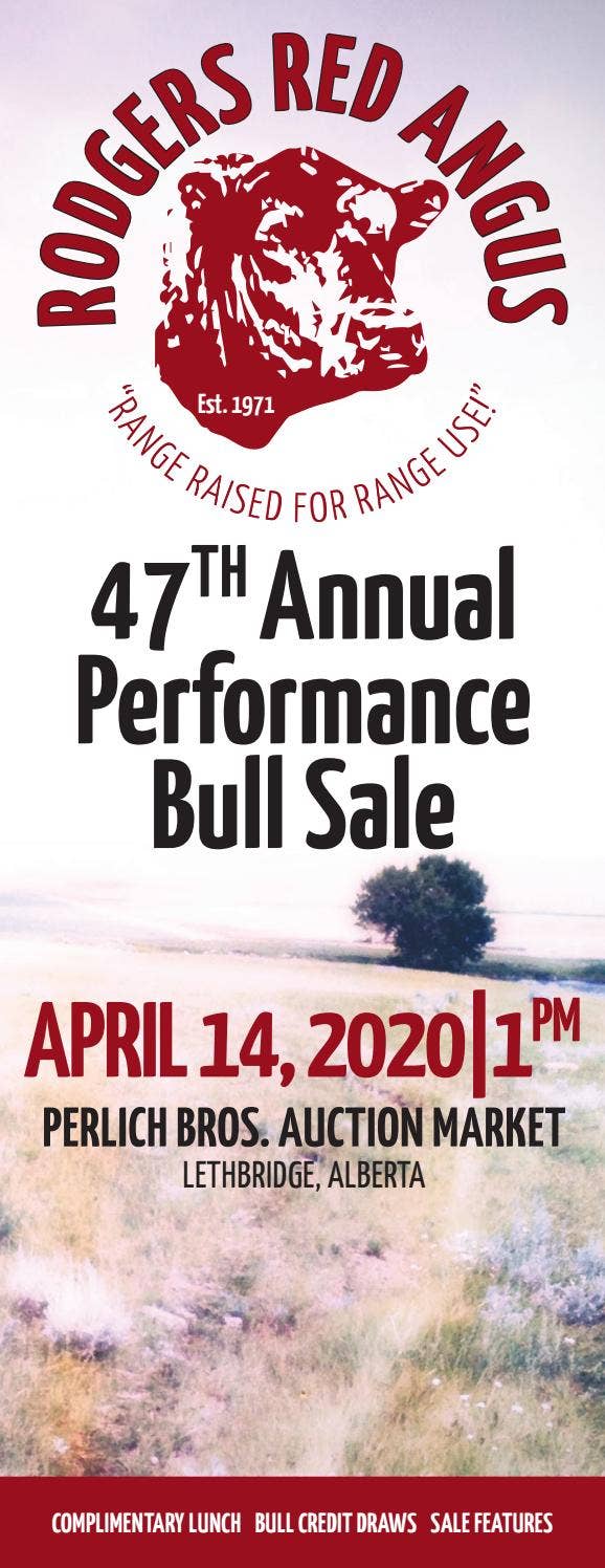 Rodgers Red Angus Performance Bull Sale by Everything Angus - Issuu