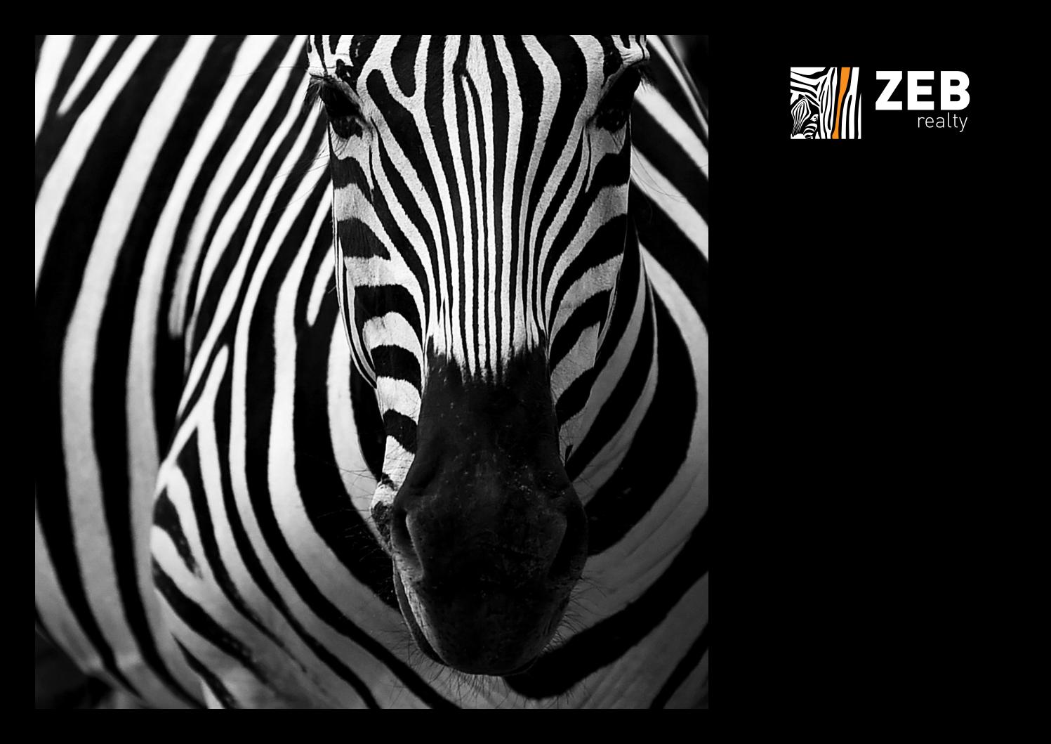 Zeb Company Profile by jpg Design & Print - Issuu