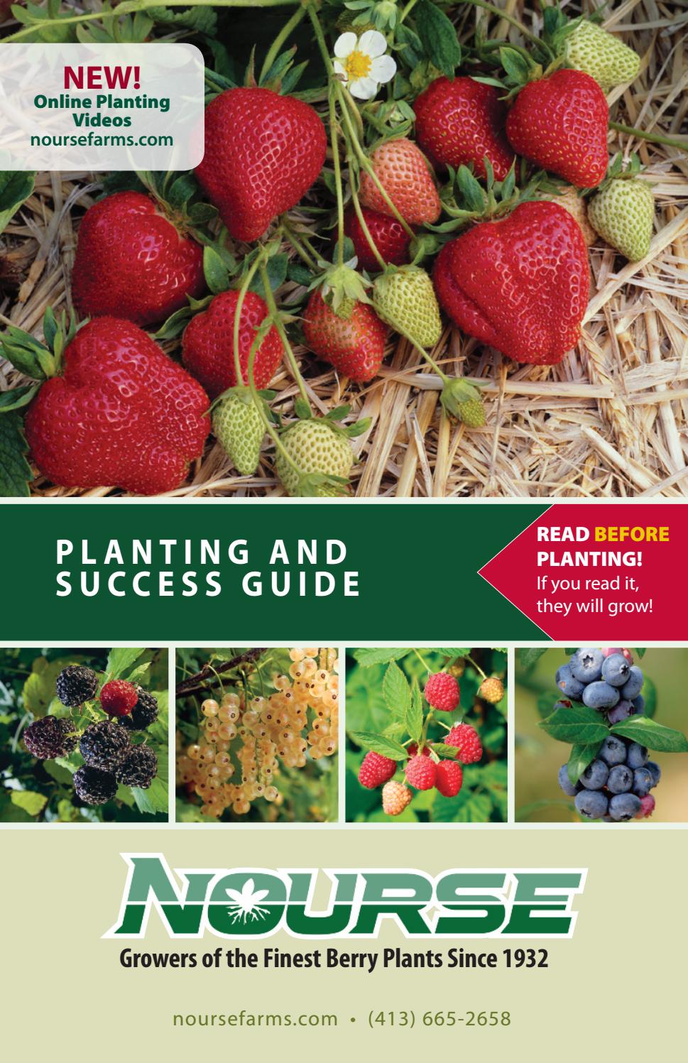 Nourse Farms Planting Guide` by Nourse Farms - Issuu