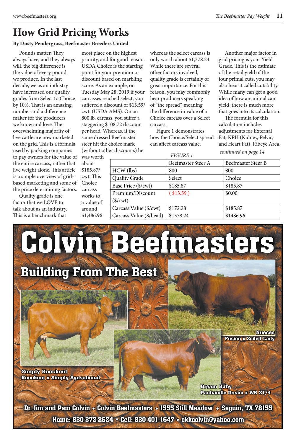 The Beefmaster Pay Weight - Spring 2020 by Beefmaster Breeders United ...