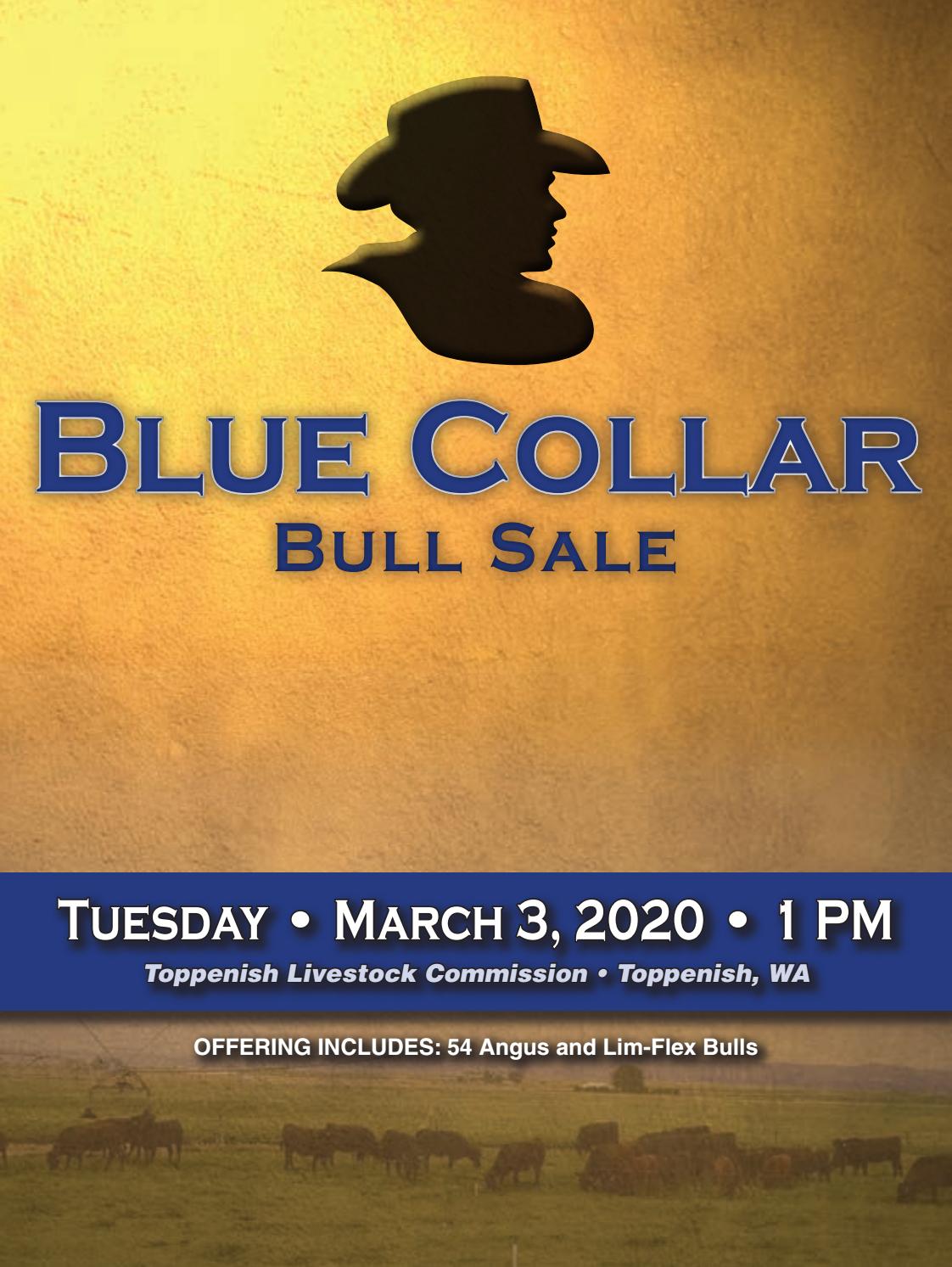 2020 Blue Collar Bull Sale Catalog by Ranch House Designs - Issuu