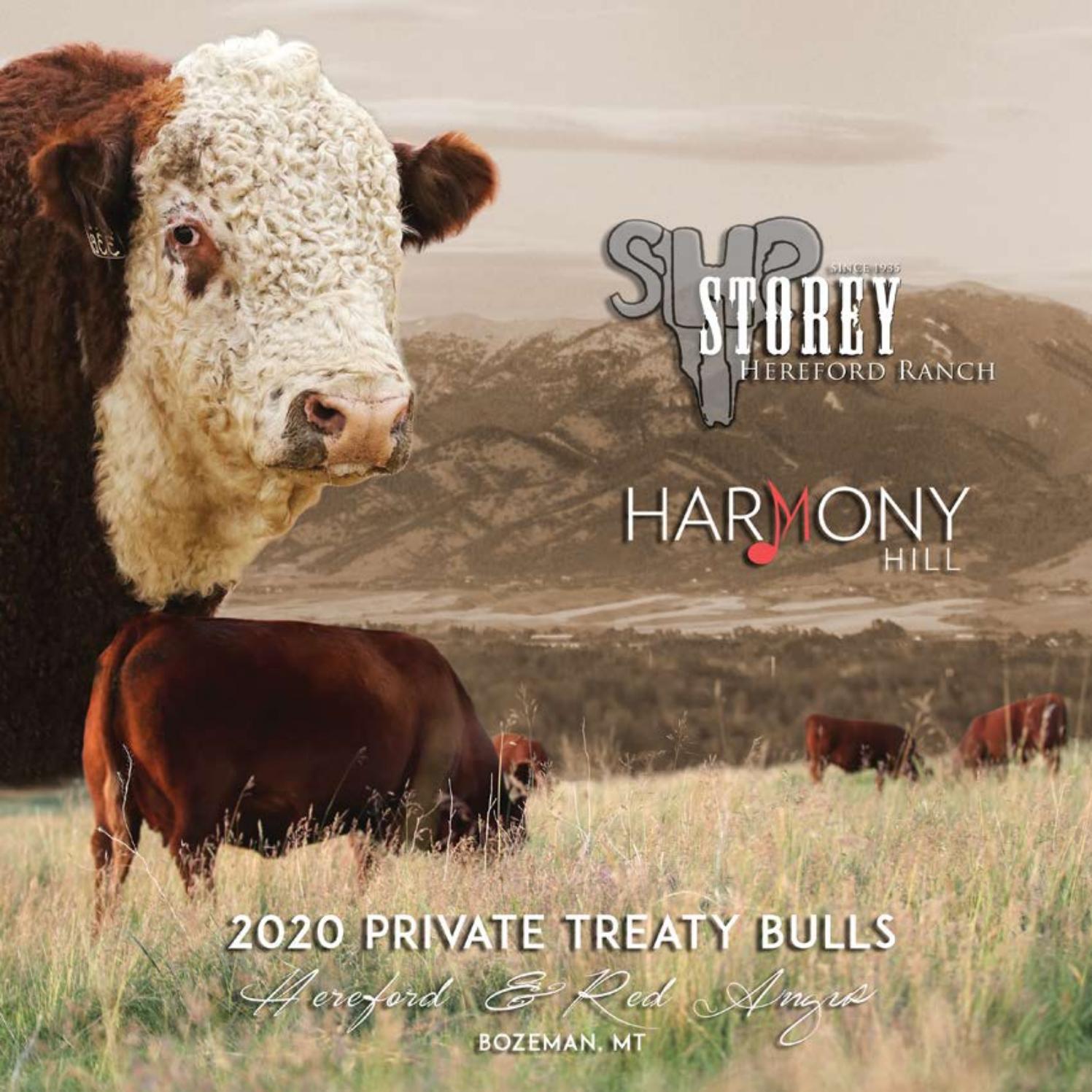 Storey Hereford Ranch 2020 Private Treaty Sale by American Hereford ...