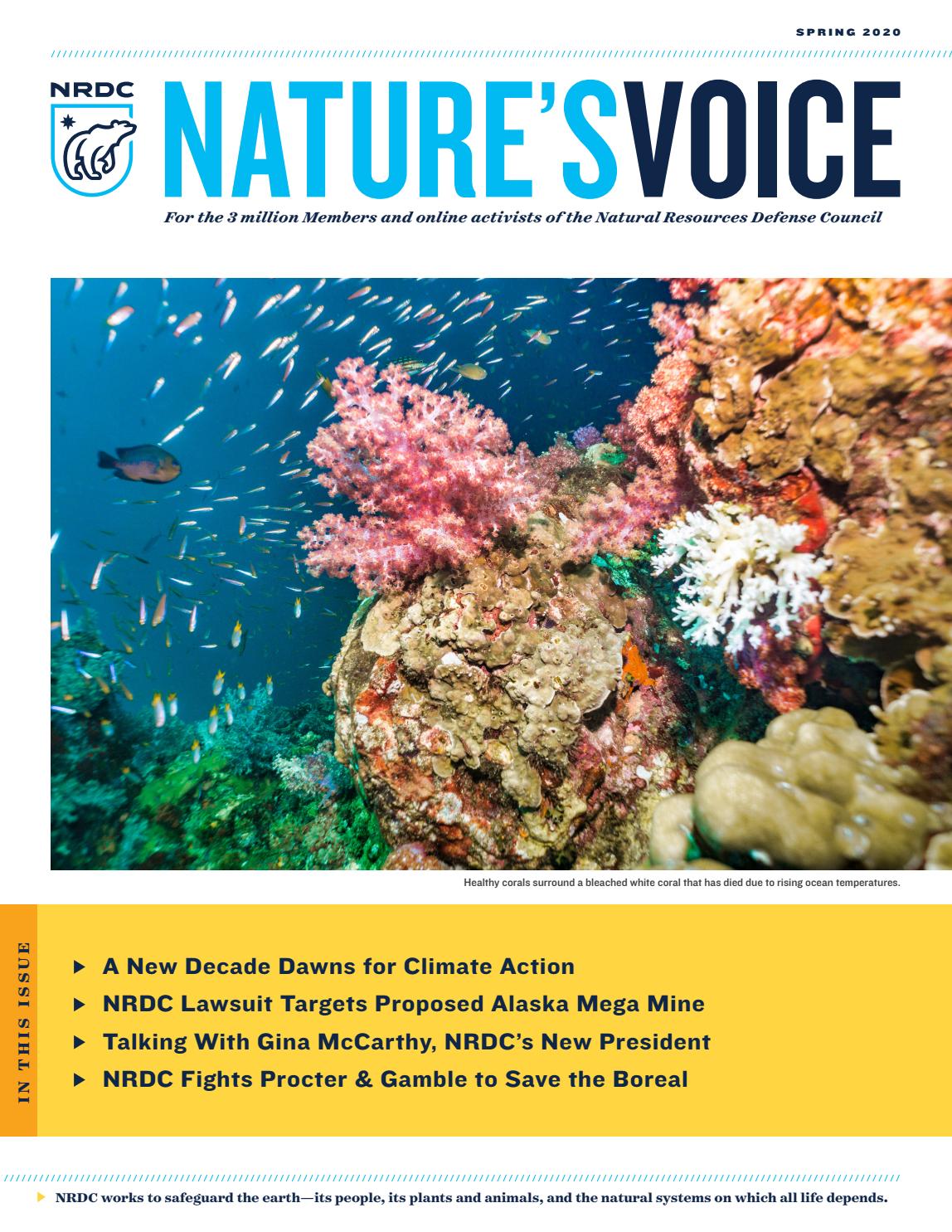 Nature's Voice Spring 2020 by NRDC - Issuu