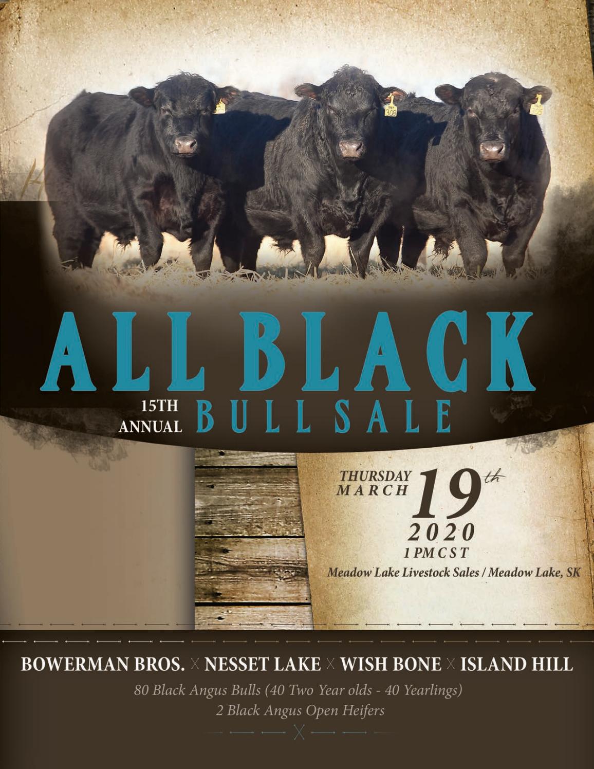 All Black Bull Sale by Castlerock Marketing - Issuu