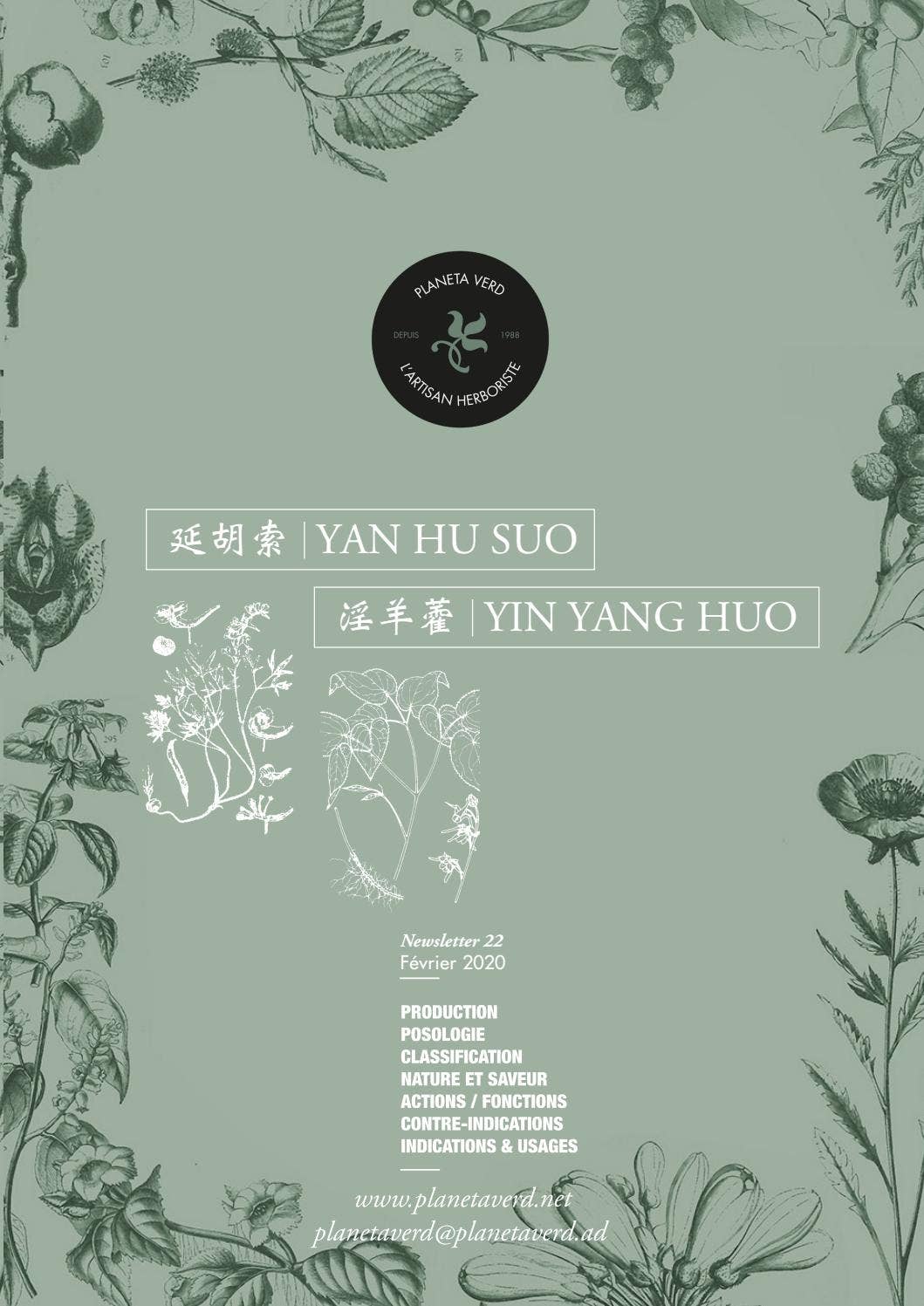 Newsletter YAN HU SUO 延胡索 & YIN YANG HUO 淫羊藿 - 22 by Your chinese ...