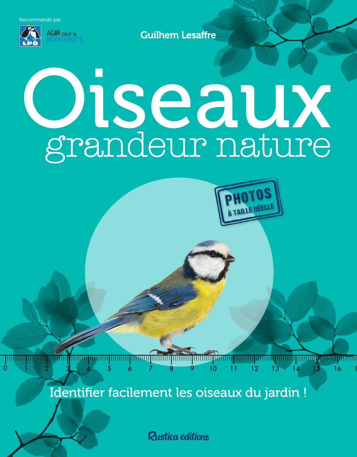 Oiseaux grandeur nature by Fleurus Editions - Issuu