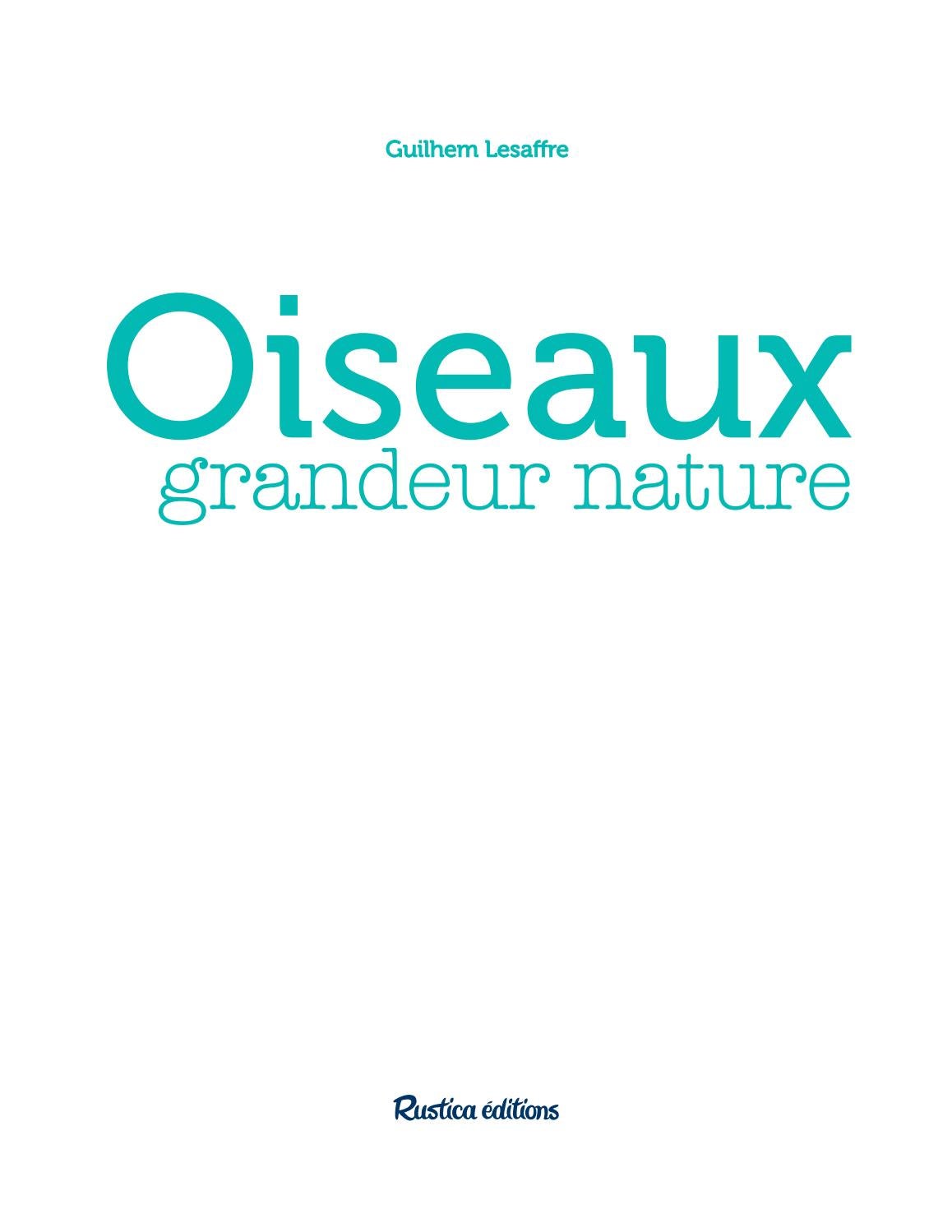 Oiseaux grandeur nature by Fleurus Editions - Issuu