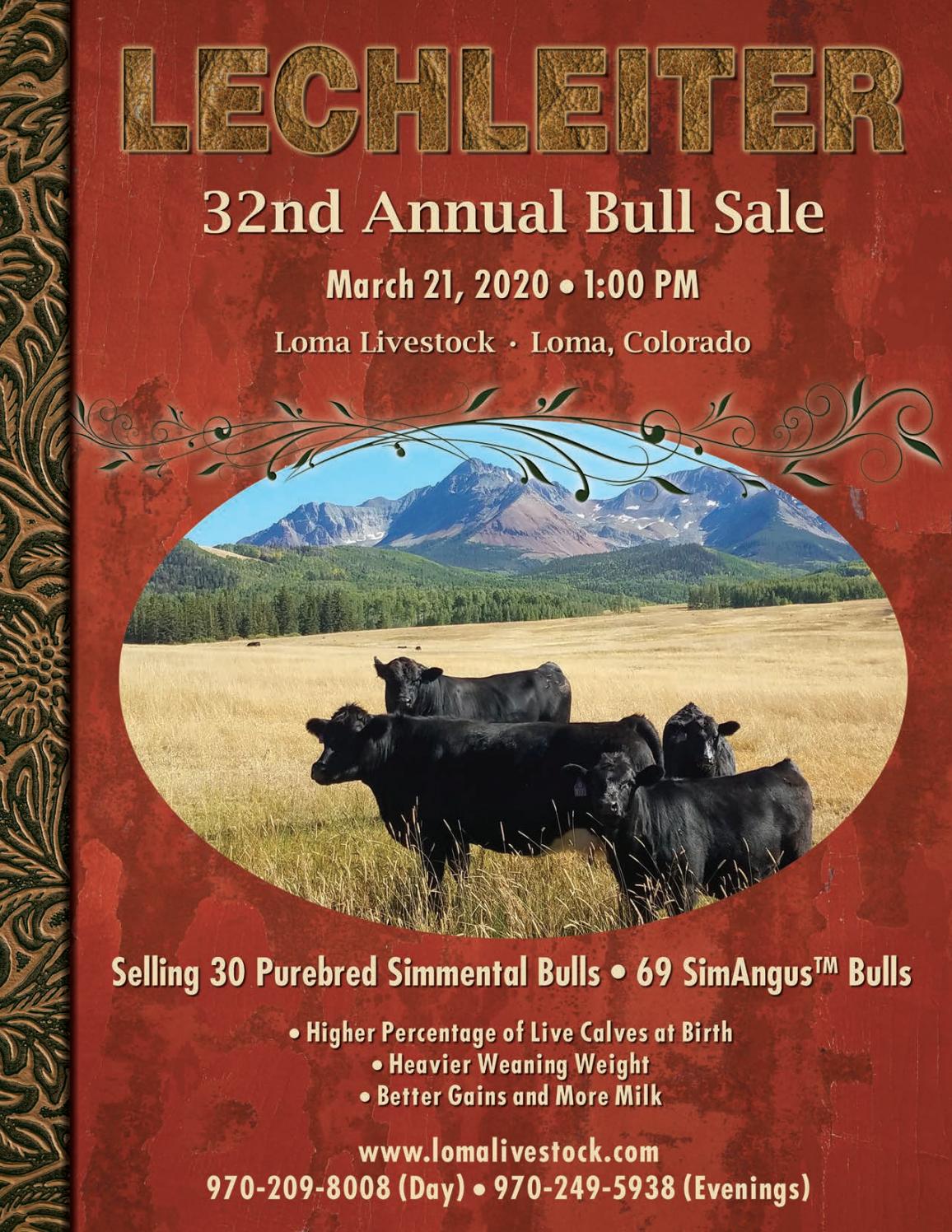 Lechleiter Simmental - 2020 Bull Sale Catalog by LivestockDirect - Issuu