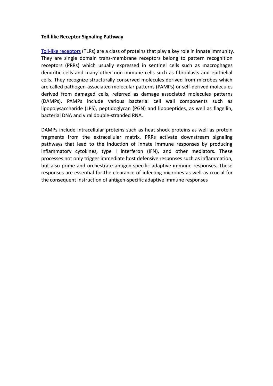 Toll-like Receptor Signaling Pathway by Creative Diagnostics - Issuu