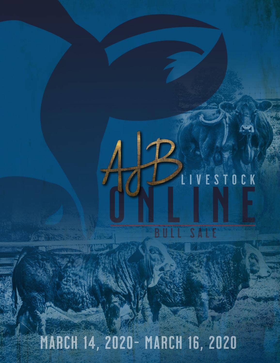 AJB Livestock Online Bull Sale 2020 by Prairie Pistol Designs - Issuu