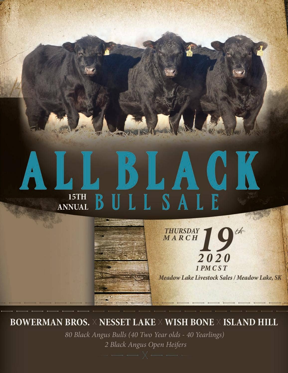 All Black Bull Sale 15th Annual - Bowerman Bros, | Nesset Lake | Wish ...