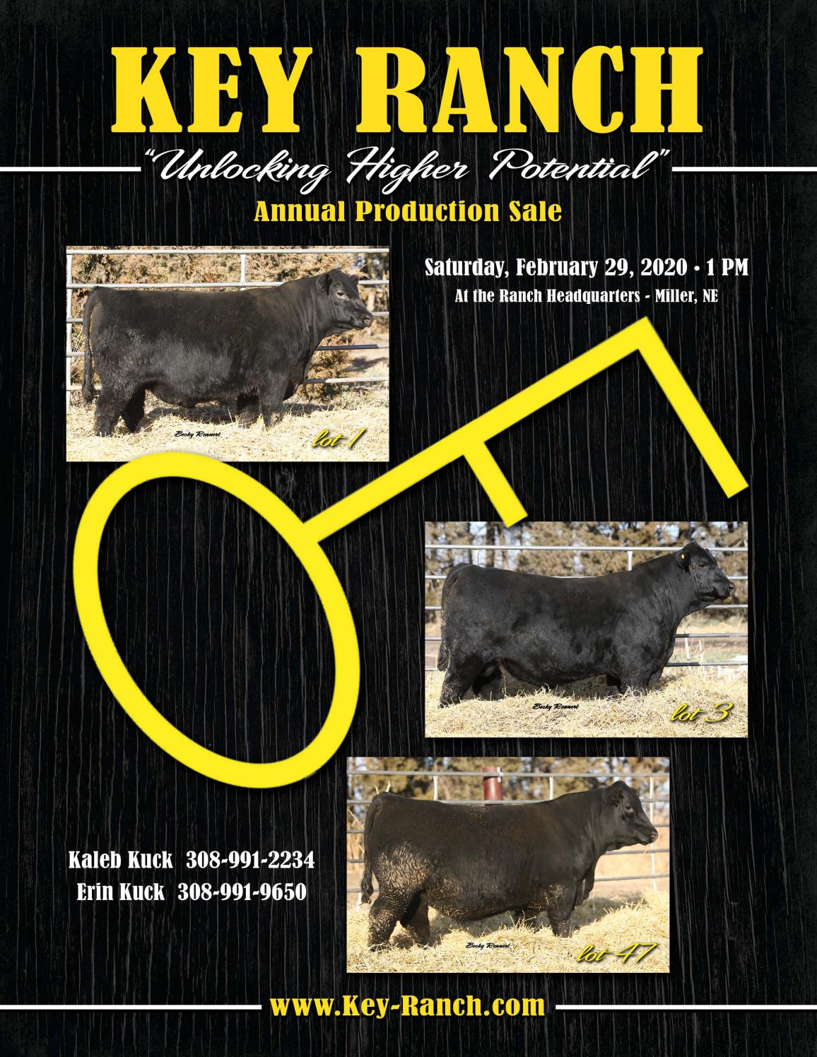 KEY Ranch 2020 Annual Production Sale by Brandmark Imaging - Issuu