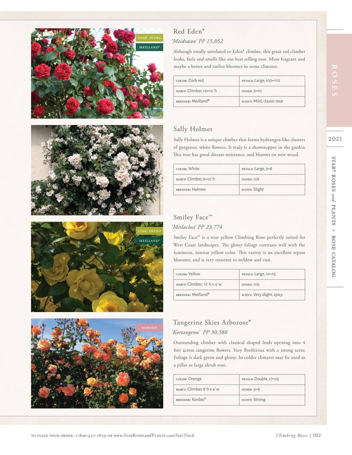 2021 Star® Roses and Plants Rose Catalog by Star® Roses and Plants - Issuu