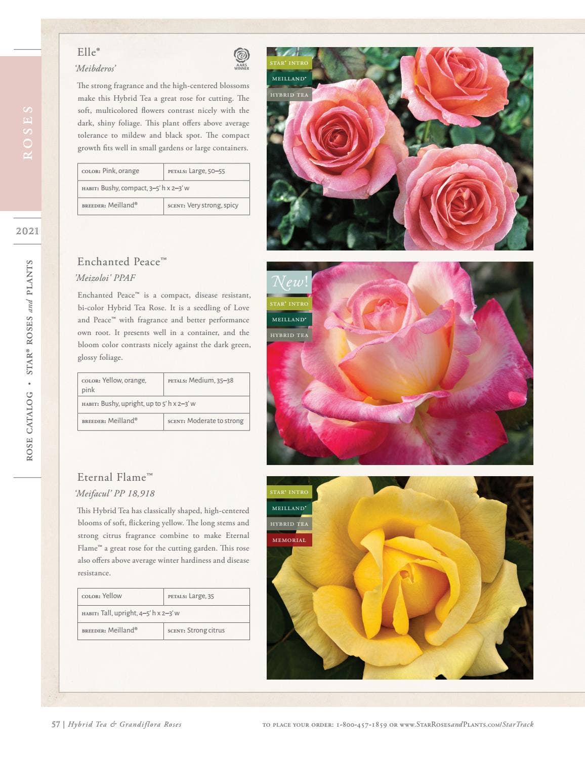 2021 Star® Roses and Plants Rose Catalog by Star® Roses and Plants - Issuu