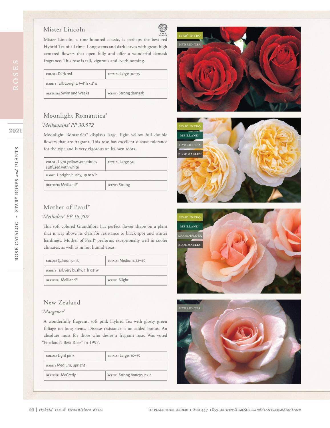 2021 Star® Roses and Plants Rose Catalog by Star® Roses and Plants - Issuu