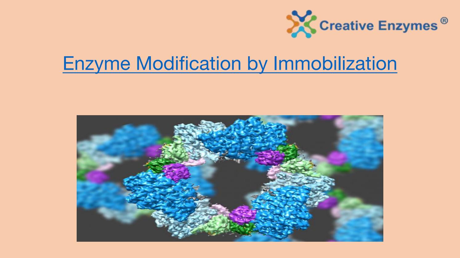 Enzyme Modification by Immobilization - Creative Enzymes by Creative ...