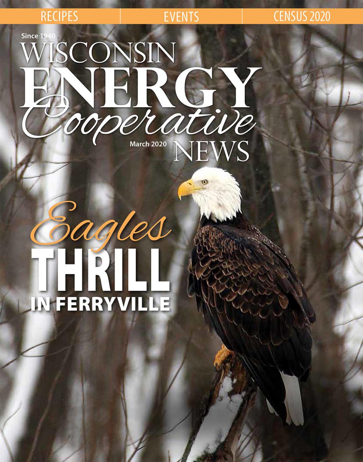 Wisconsin Energy Cooperative News March 2020 by American MainStreet ...