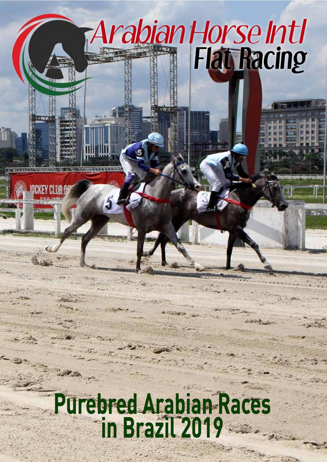 Arabian Horse Intl Flat Racing - Arabian Races in Brazil by ...