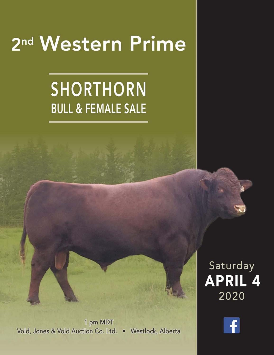 Western Prime Shorthorn Bull & Female Sale 2020 by Everything Angus - Issuu