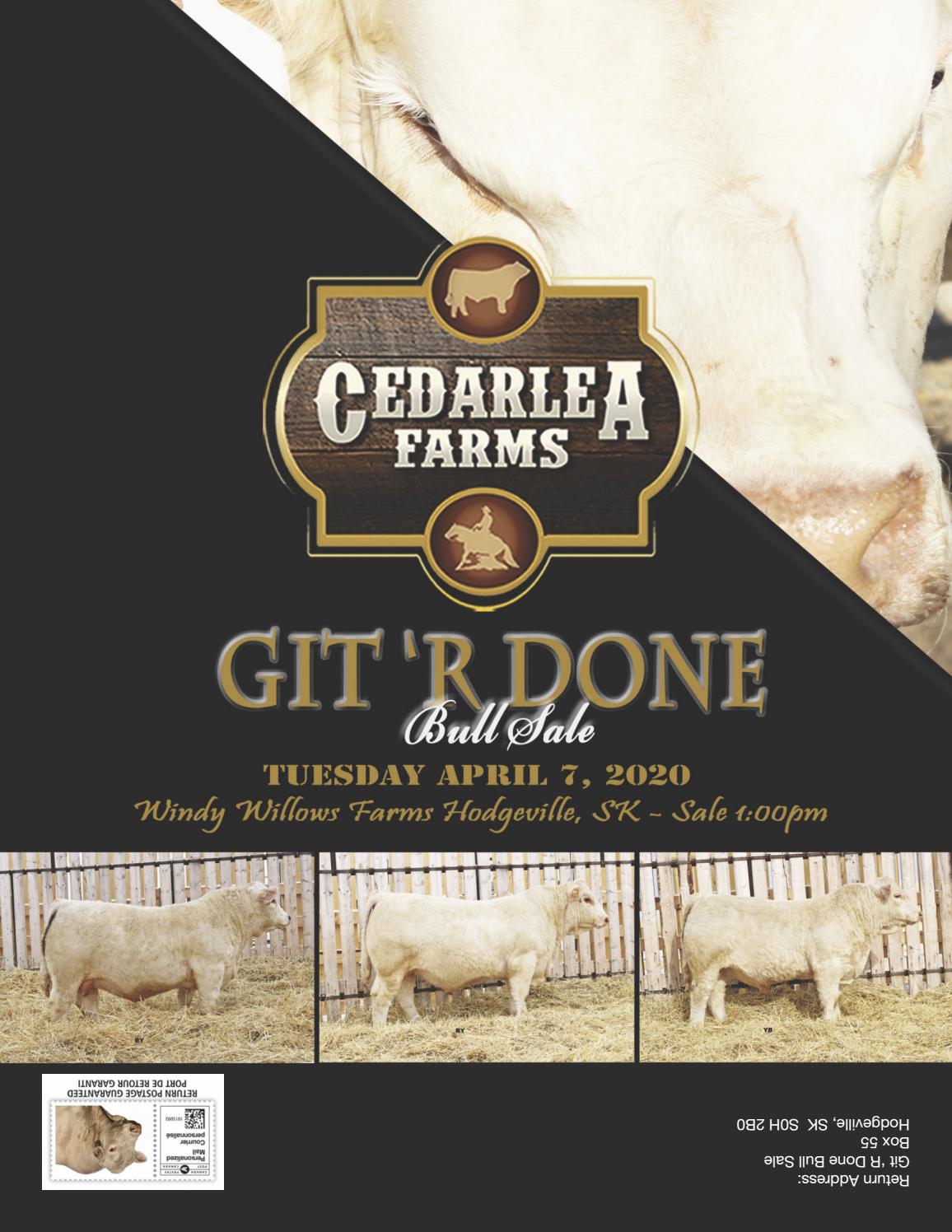 Git 'R Done Bull Sale 2020 by Charolais Banner - Issuu
