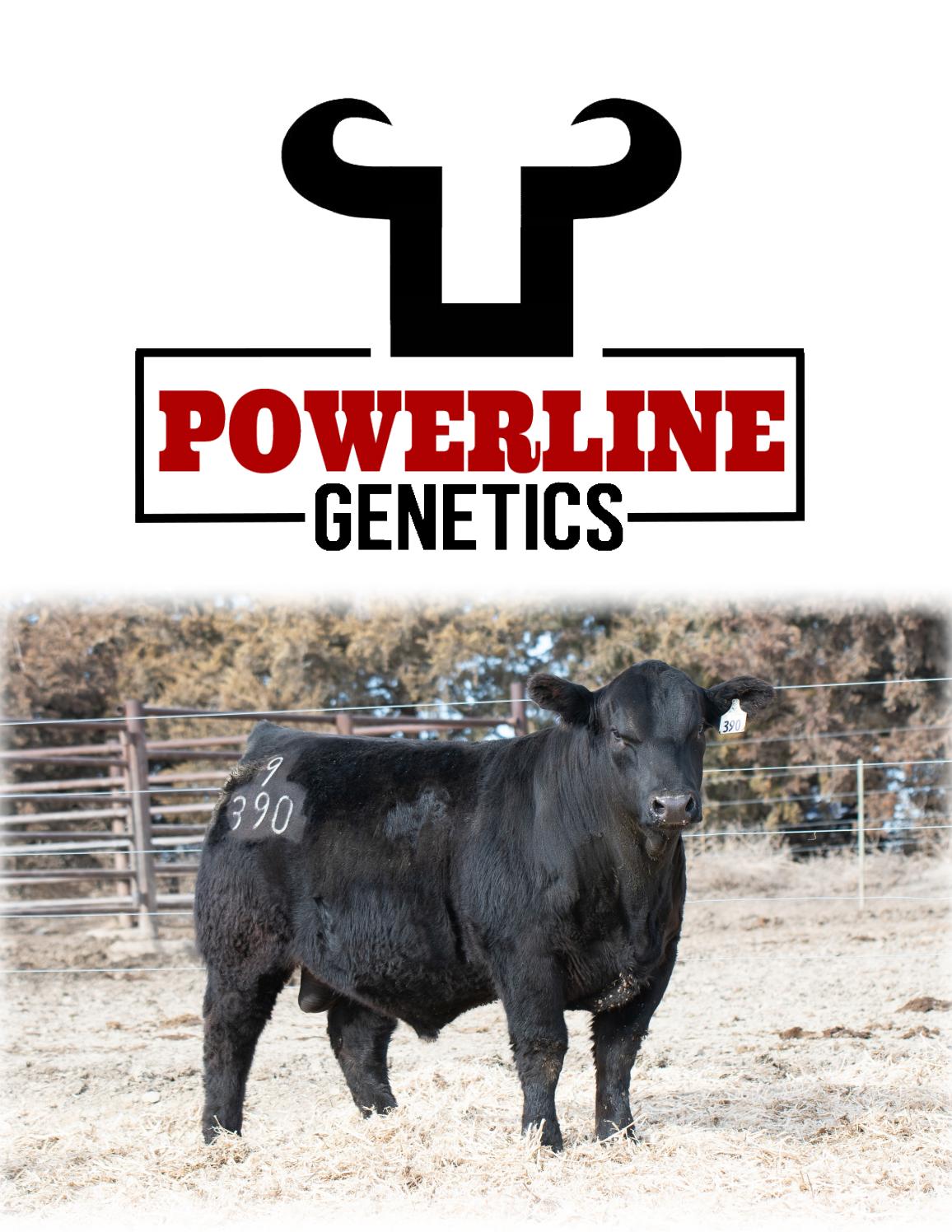 Powerline Genetics March Arapahoe Sale by Bobbi Hartwig - Issuu