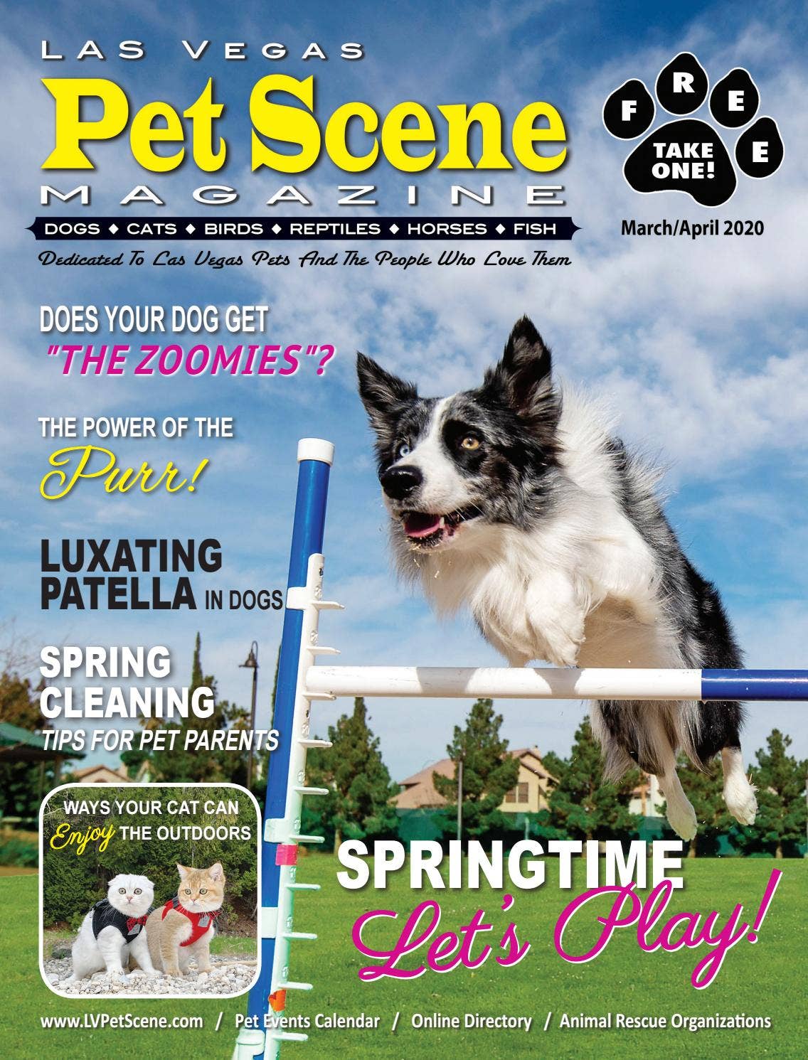 Las Vegas Pet Scene Magazine, March/April 2020 by Homes Illustrated/LV ...