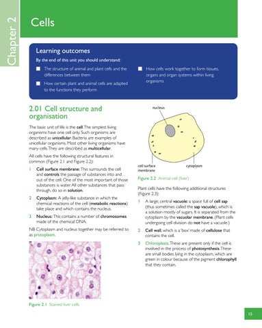Cambridge IGCSE® Biology by Cambridge International Education - Issuu