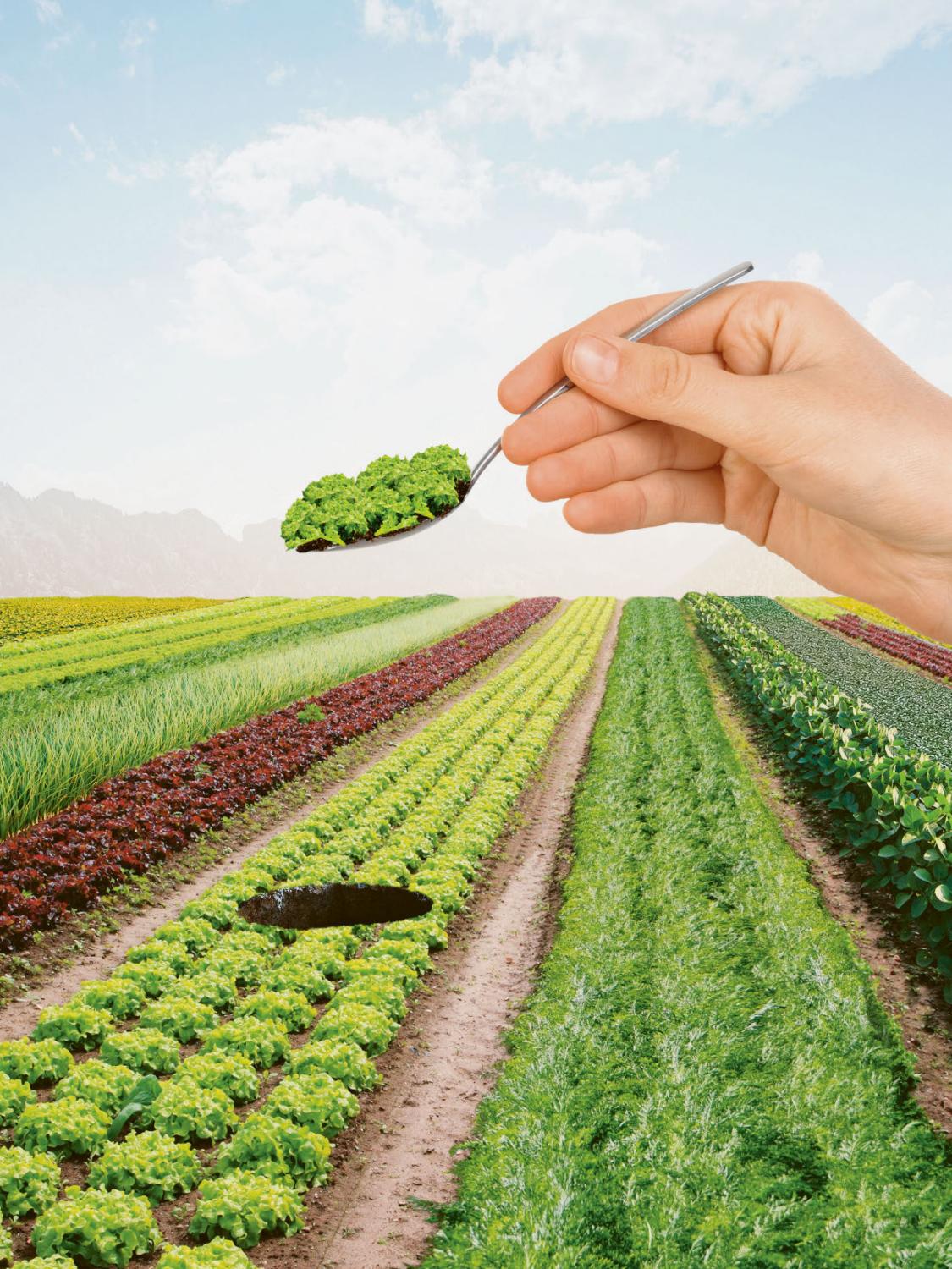 Magazin «die umwelt» 1/2020 - Fahrplan für eine bessere Welt by Federal ...