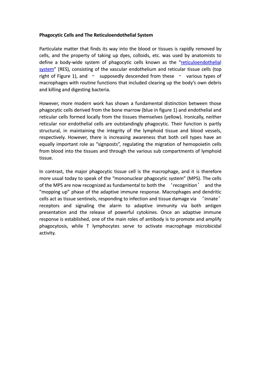 Phagocytic Cells and The Reticuloendothelial System by Creative Diagnostics - Issuu