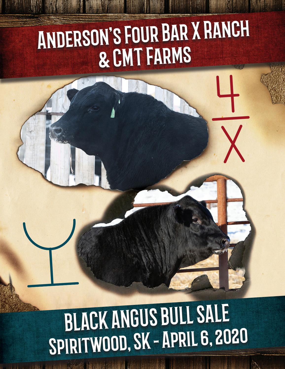 Four Bar X Ranch & CMT Farms Annual Black Angus Bull Sale by Today's ...