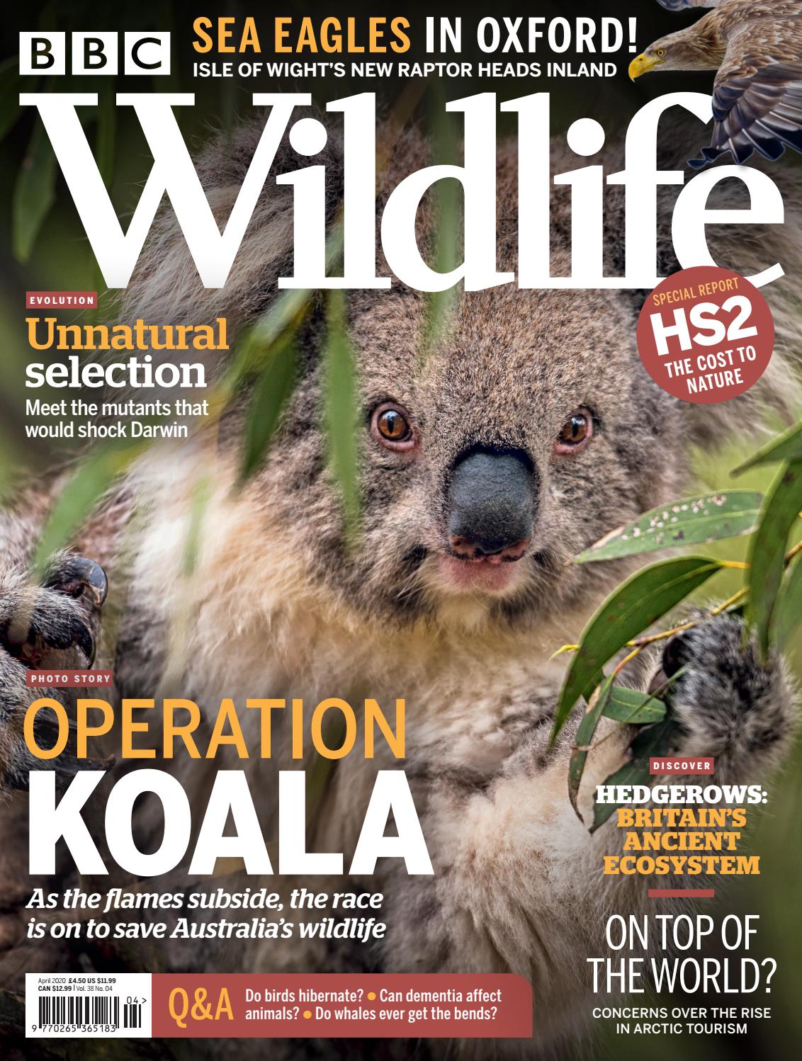 BBC Wildlife by Immediate Media Co magazines - Issuu